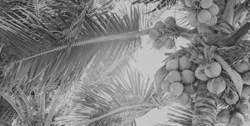 About Us – Inner-Eco